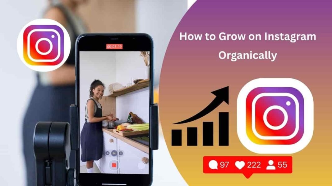 How to Grow on Instagram Organically - trickrule.com